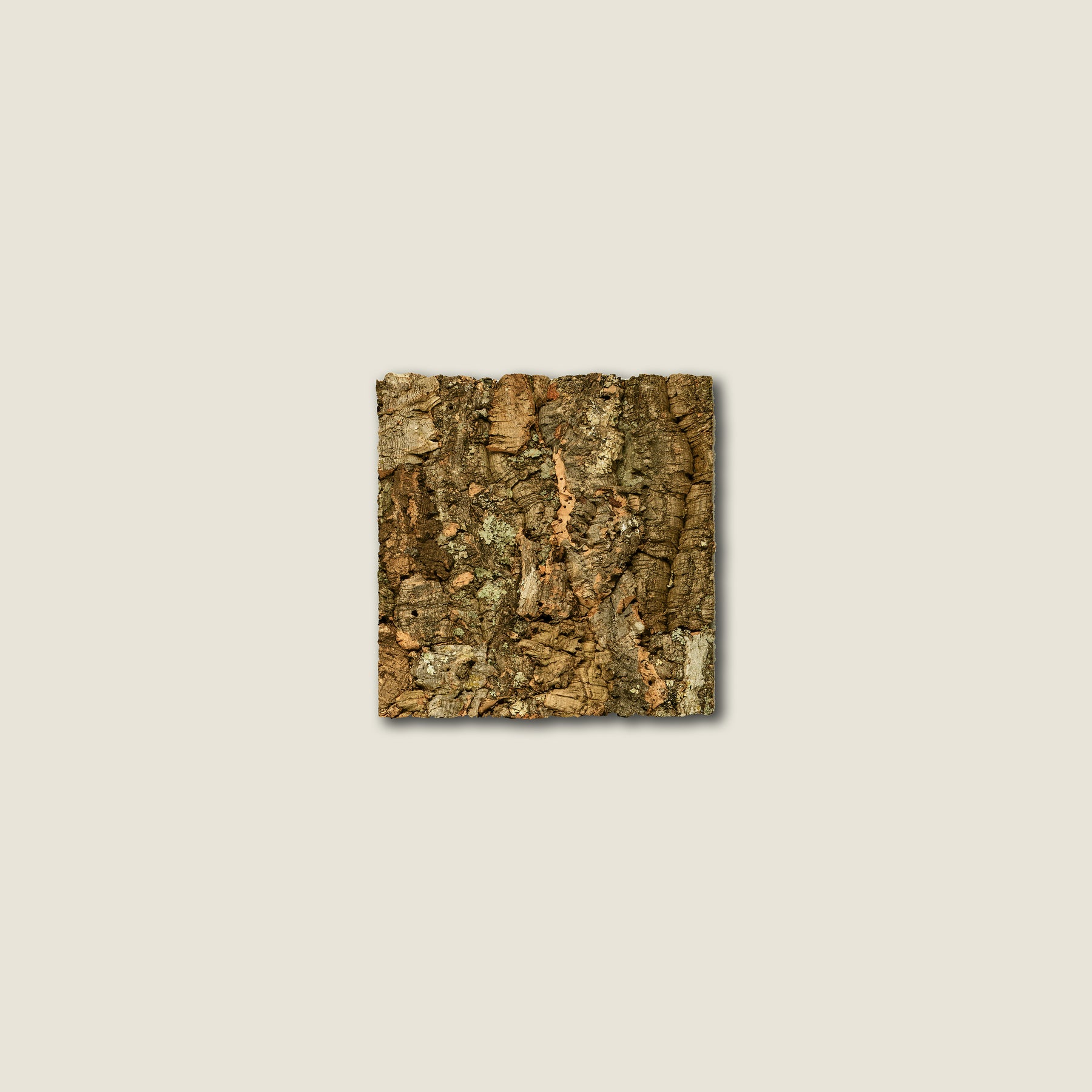Buy Natural Cork Bark Wall Tiles and Panels 300 x 300 x 25 mm ...