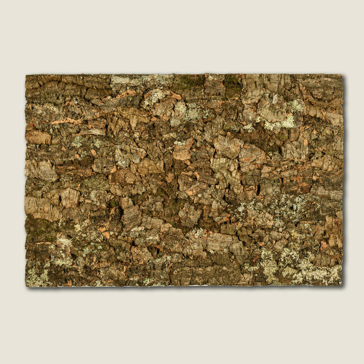 Buy Natural Cork Bark Wall Tiles and Panels 900 x 600 x 25 mm ...