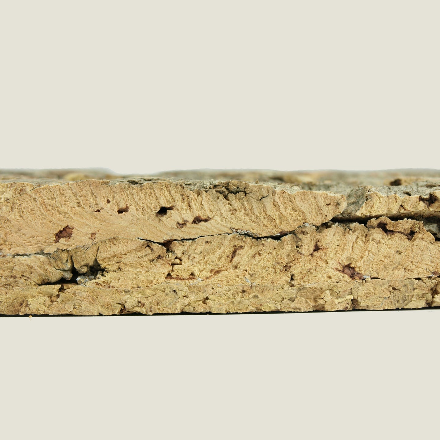 Buy Natural Cork Bark Wall Tiles and Panels 900 x 600 x 25 mm ...